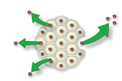 The Ten Best New Spine Technologies for 2013 | Orthopedics This Week