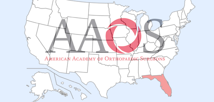 AAOS Guidelines Fodder for HA Reimbursement Cuts | Orthopedics This Week