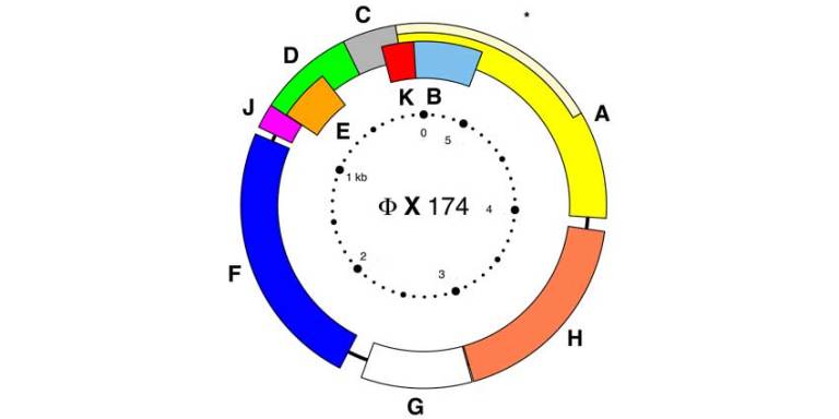 Remarkable Infection Insights From Next-Gen DNA Sequencing ...