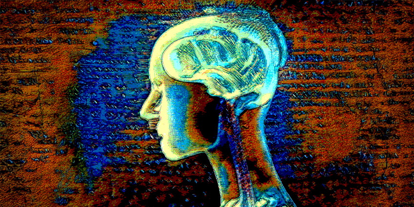 Here Comes ‘Elsa’, the FDA’s Generative AI Tool for…? - Orthopedics ...