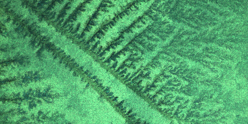 Next Gen Nano Scaffold Builds Bone and Bites Bugs - Orthopedics This Week